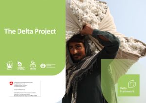 Delta Project Overview – Delta Framework